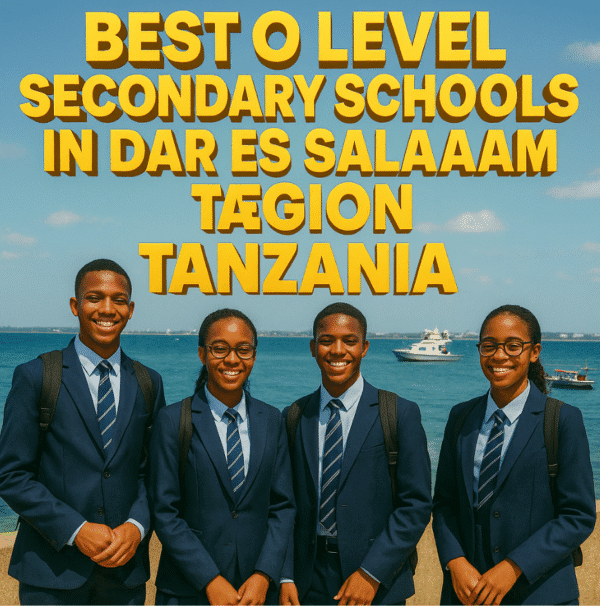 Top 20 Best Secondary Schools in Arusha 2023 - Iziraa