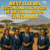 Kemebos Secondary School Contacts & Admissions: Requirements and ...